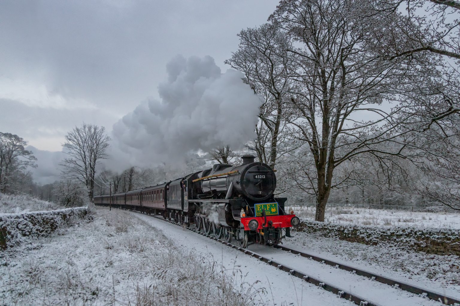 Gallery - The Elf Explorer