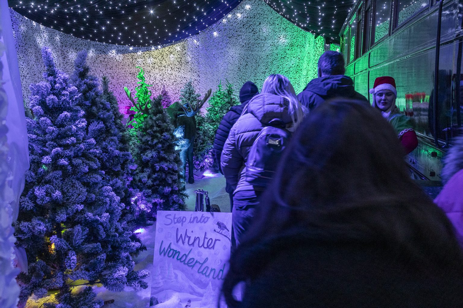 The Experience - The Elf Explorer