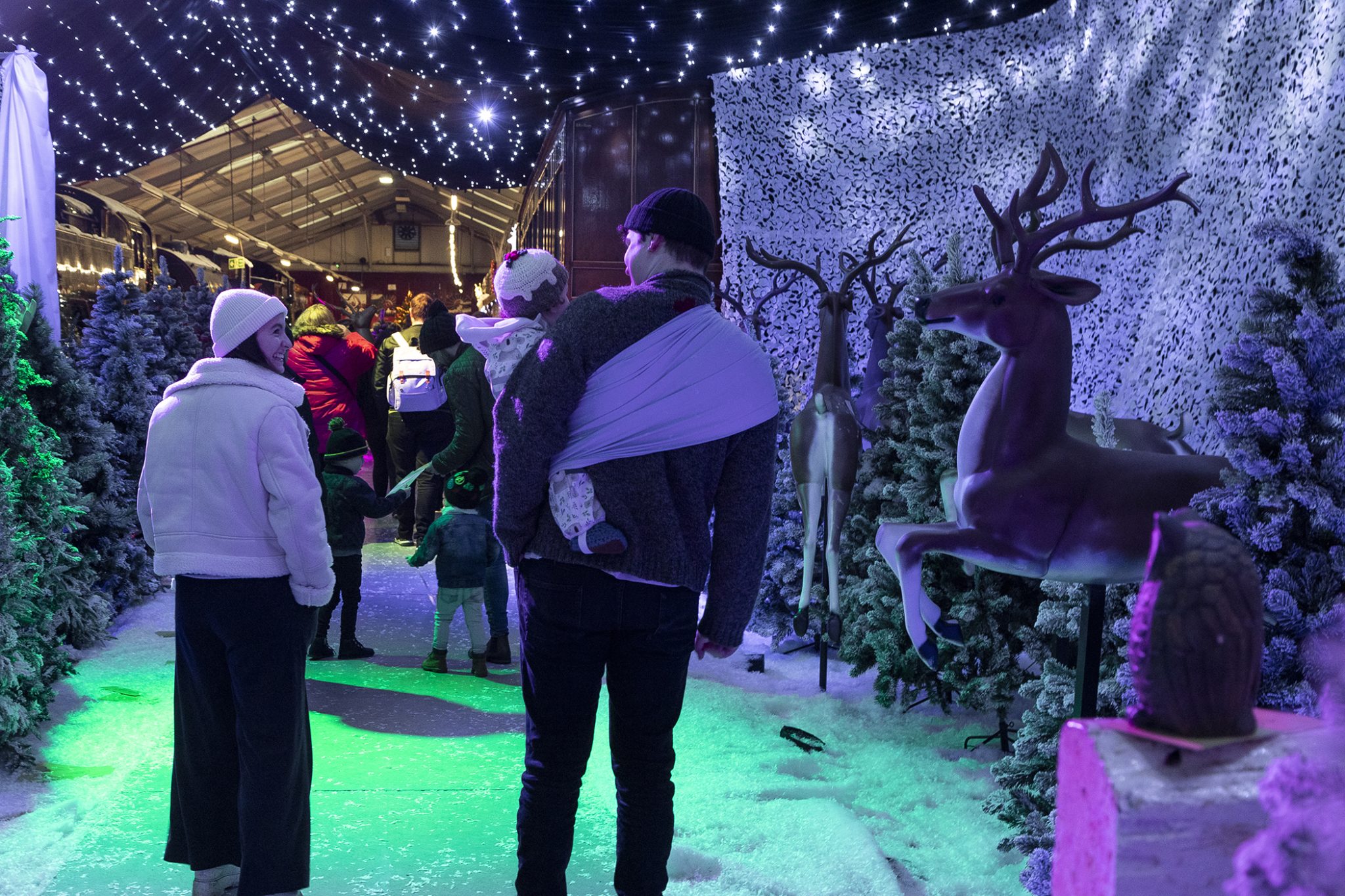 The Experience - The Elf Explorer