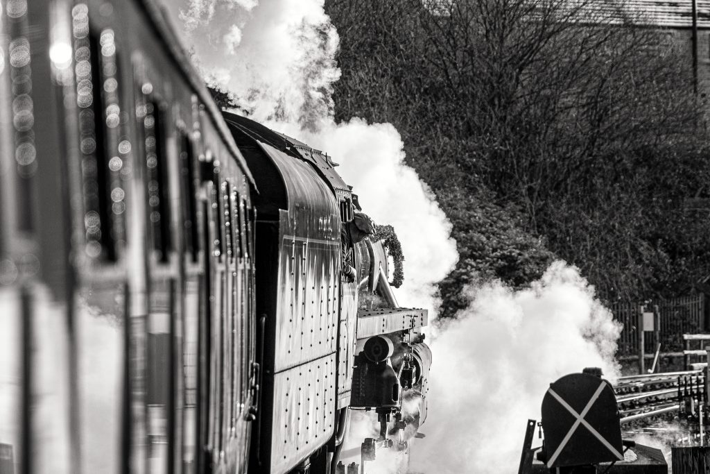 The Elf Explorer - The Elf Explorer