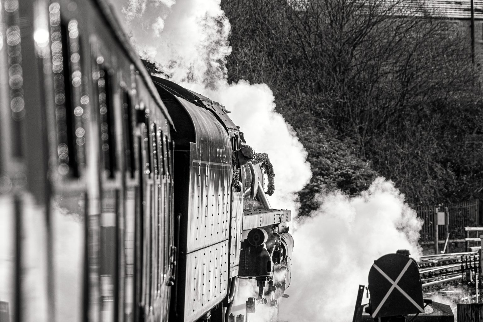 The Elf Explorer - The Elf Explorer