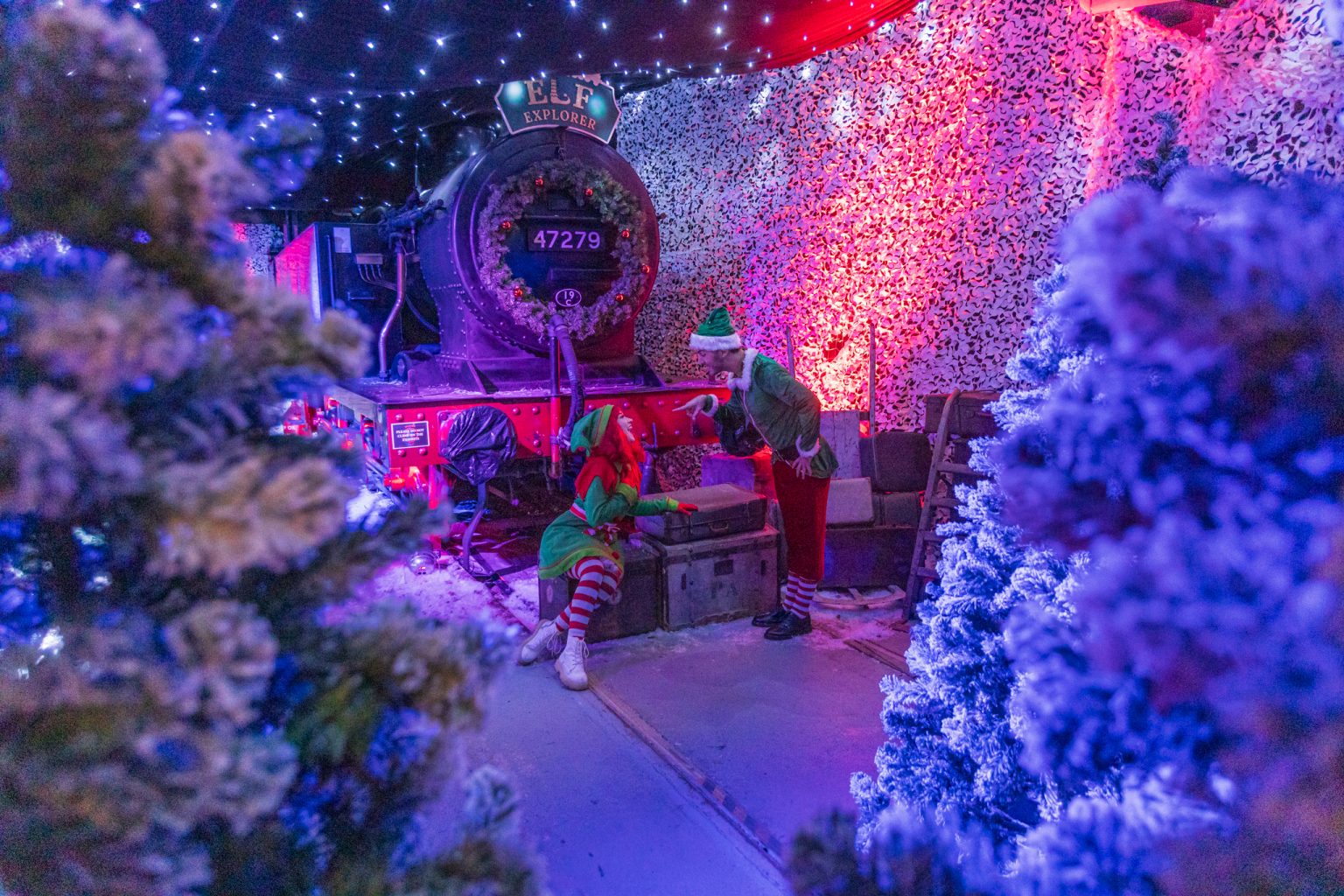 The Elf Explorer - The Elf Explorer