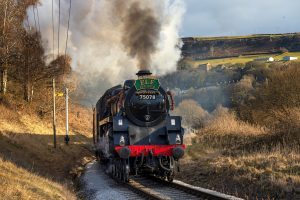 The Elf Explorer - The Elf Explorer