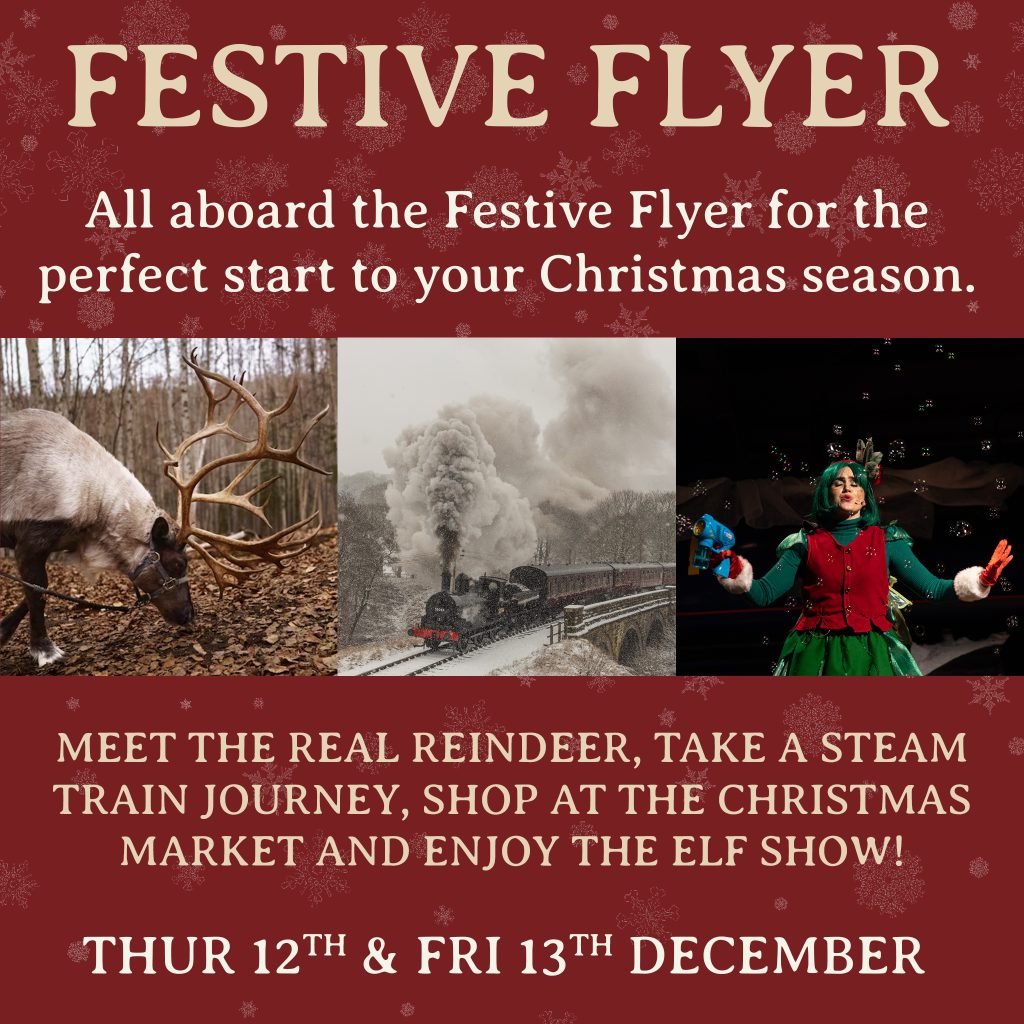 The Elf Explorer - The Elf Explorer